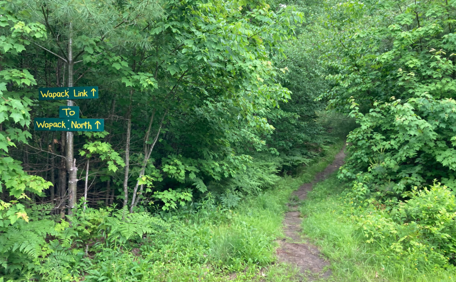 Trip Report: Exploring the flat bit of the Wapack Trail – Protean Wanderer