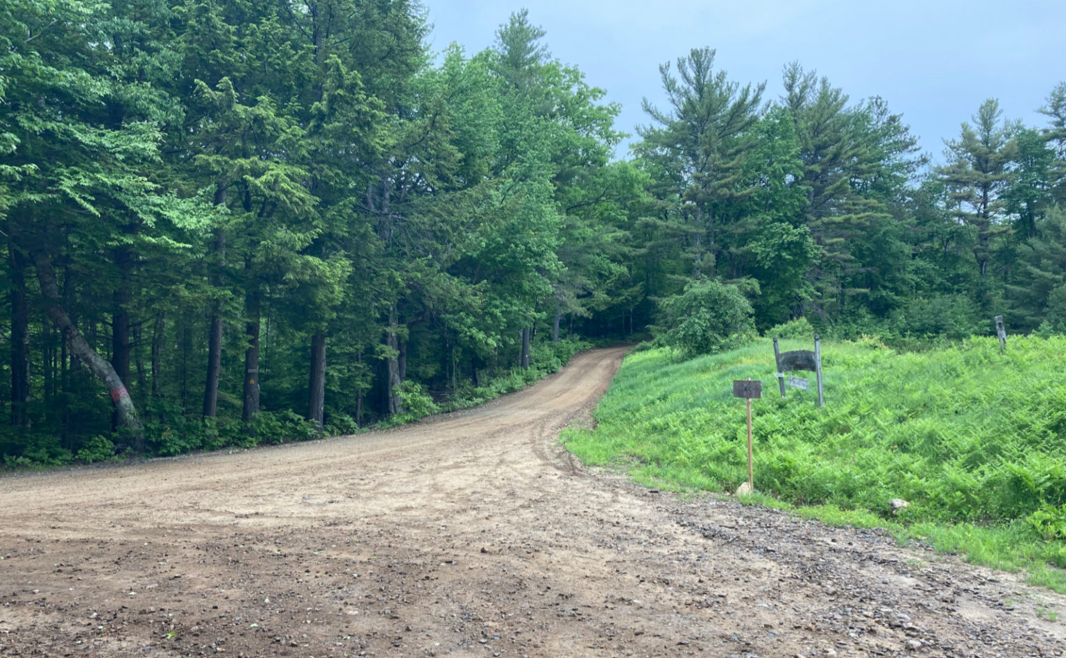 Trip Report: Exploring the flat bit of the Wapack Trail – Protean Wanderer
