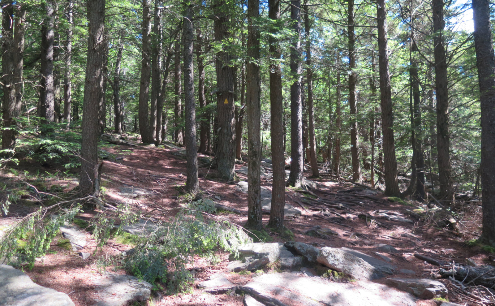 Trip Report: Finishing the Wapack Trail on Mt Watatic – Protean Wanderer