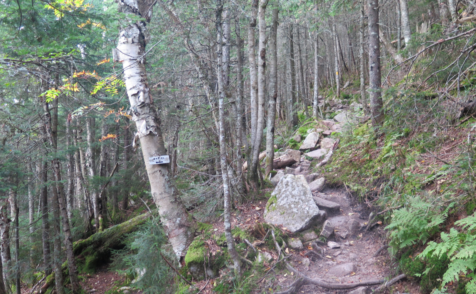 Mount Waumbek NH