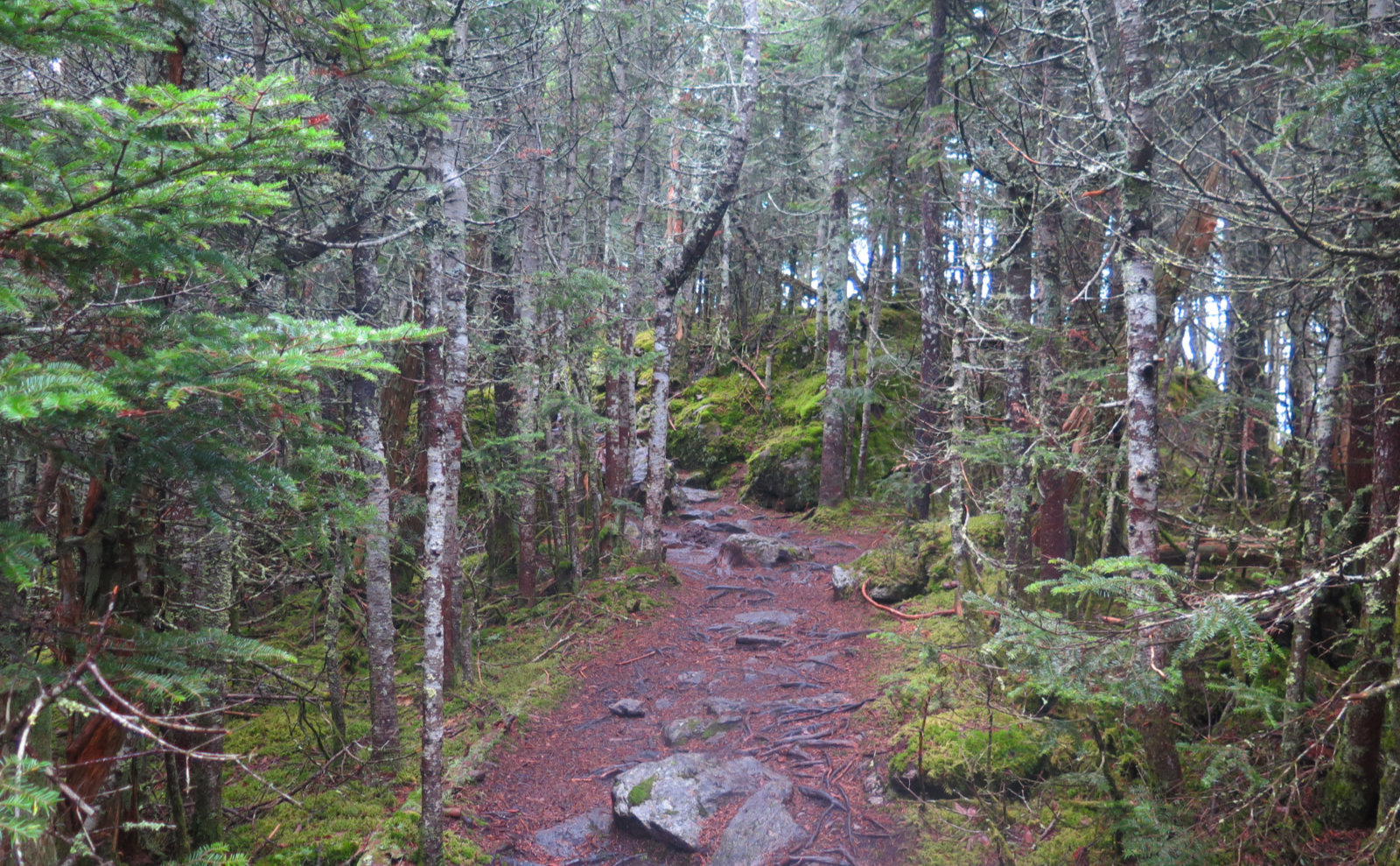 Trip Report: How many stairs are on Tecumseh? – Protean Wanderer