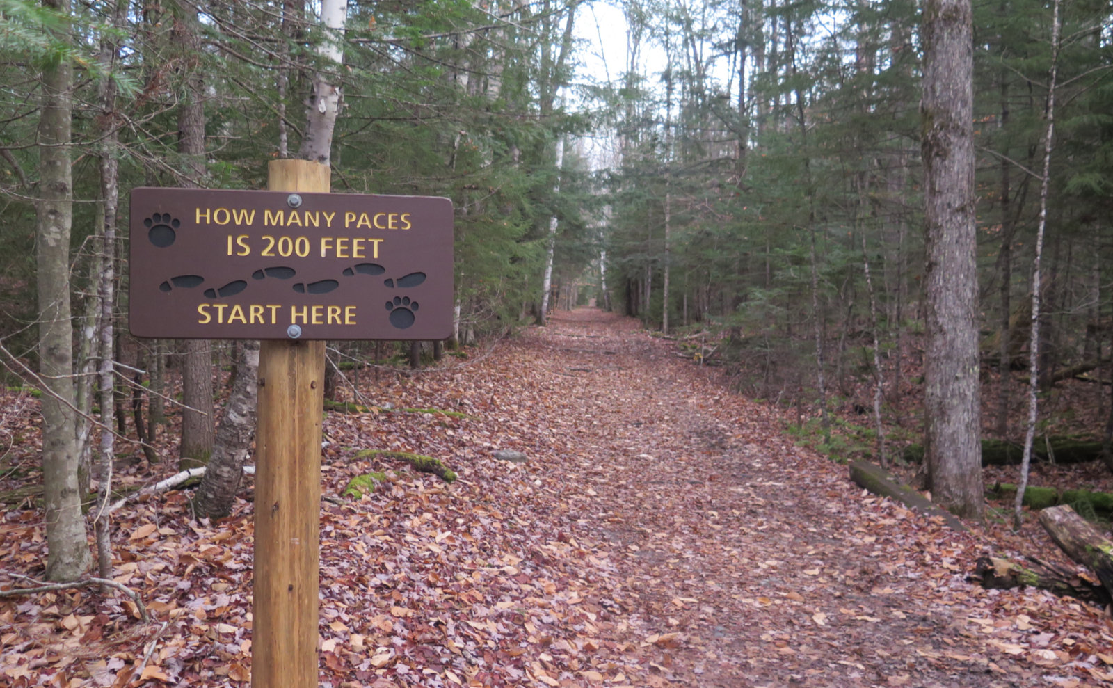 Trip Report: Why is the Bondcliff col interesting? – Protean Wanderer