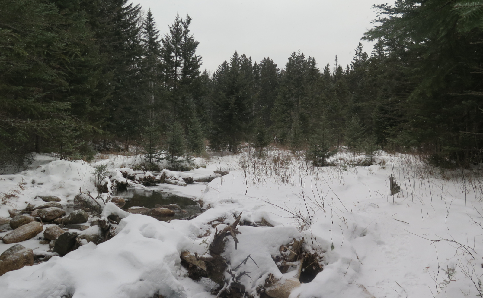 Trip Report: Why a drought on Carrigain? – Protean Wanderer