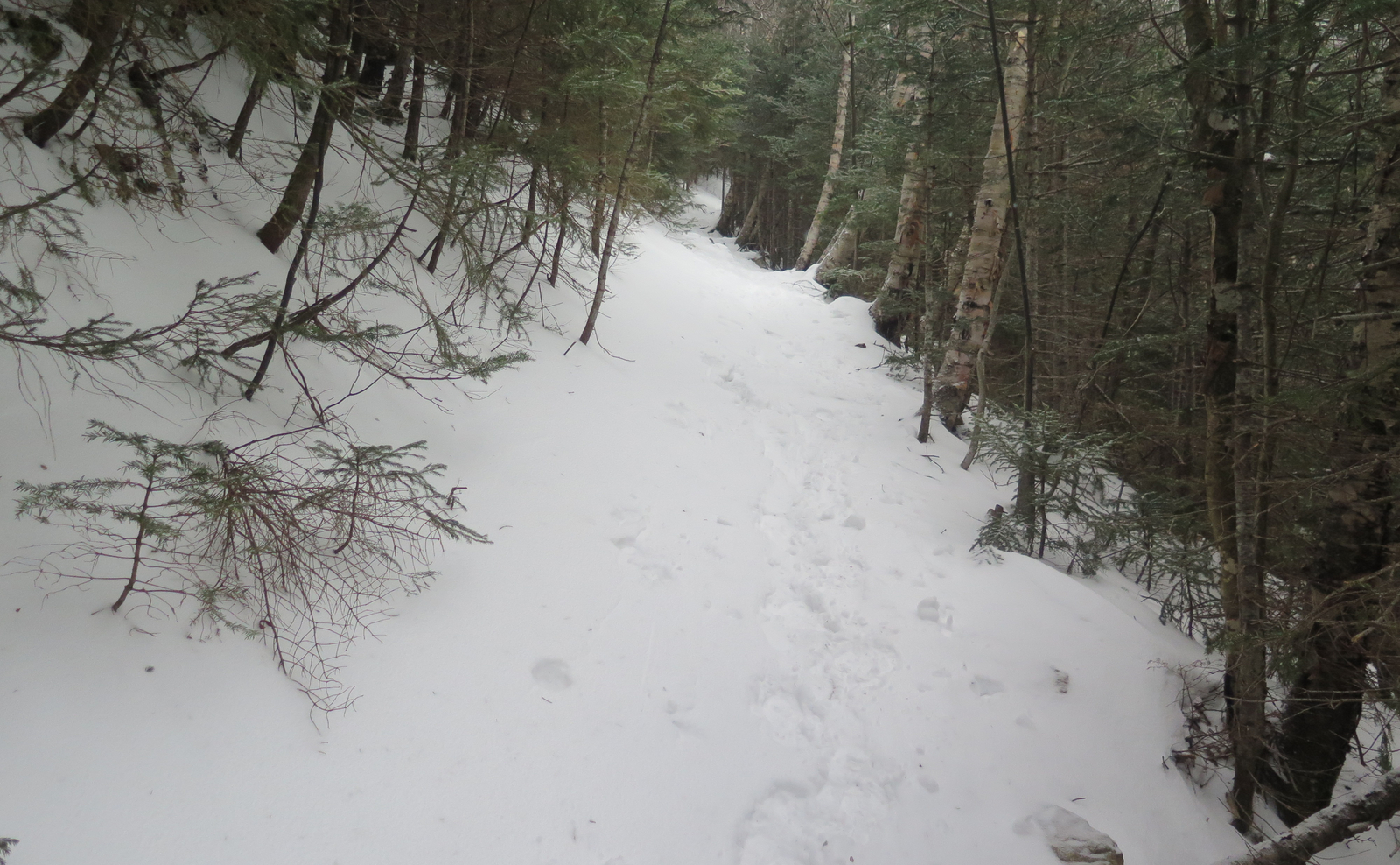 Trip Report: Why a drought on Carrigain? – Protean Wanderer