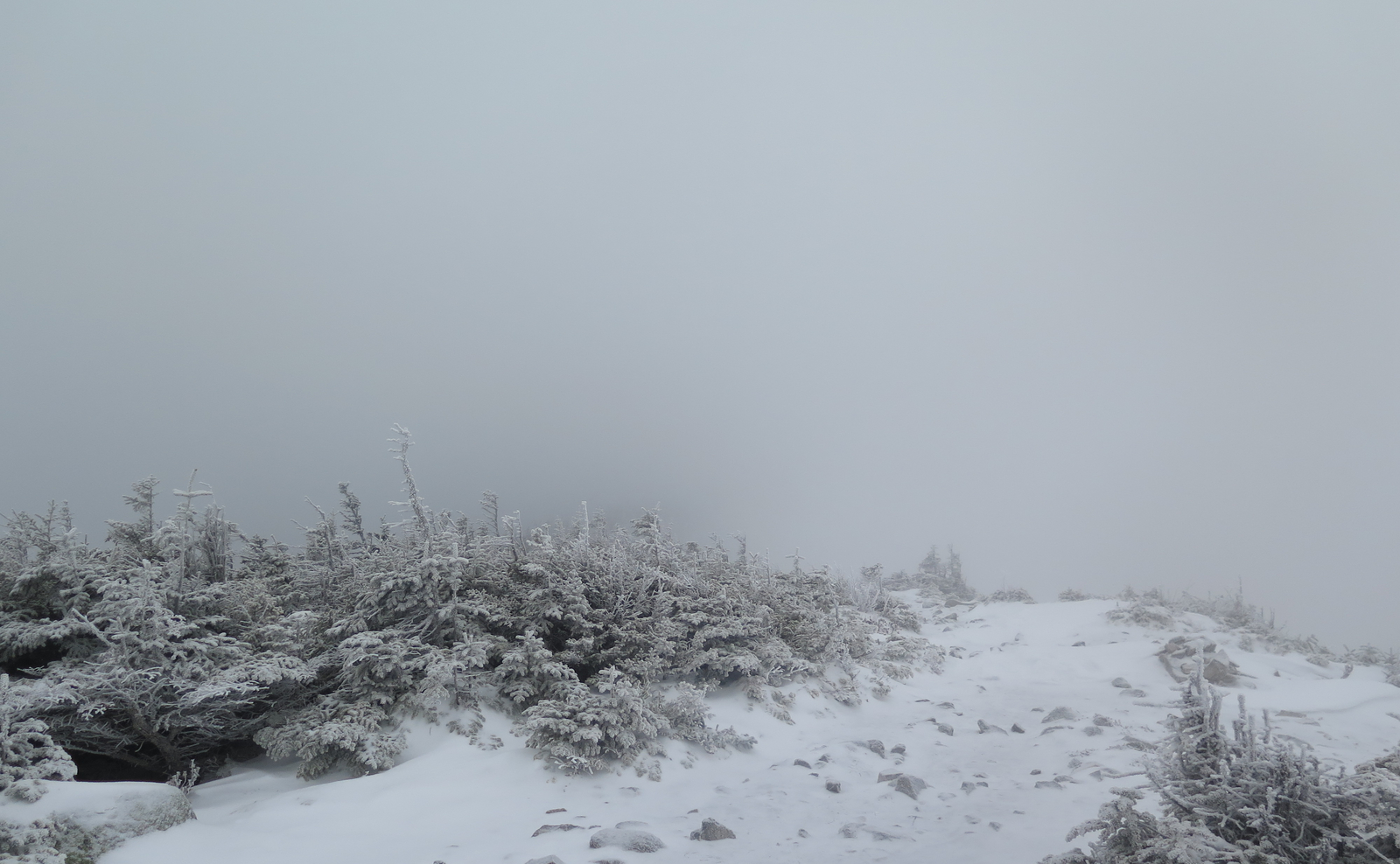 Trip Report: Why a drought on Carrigain? – Protean Wanderer