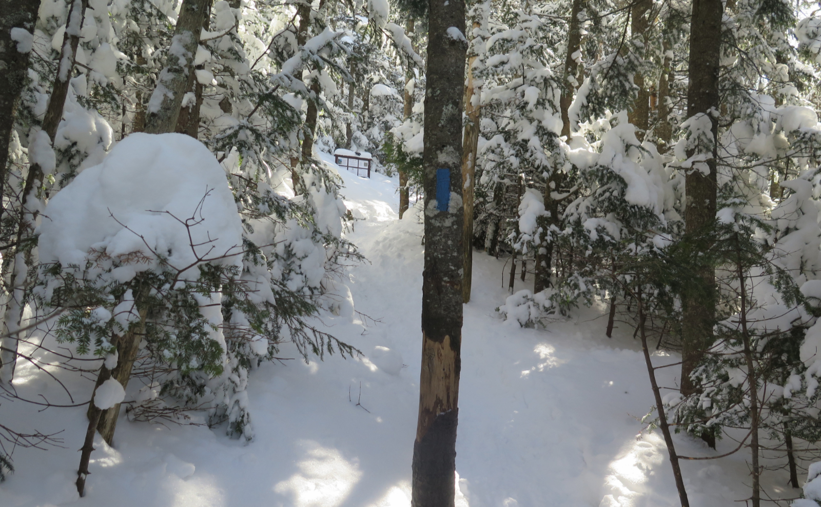 Trip Report: Hiking the Franconia Ridge Classic in Winter! – Protean ...