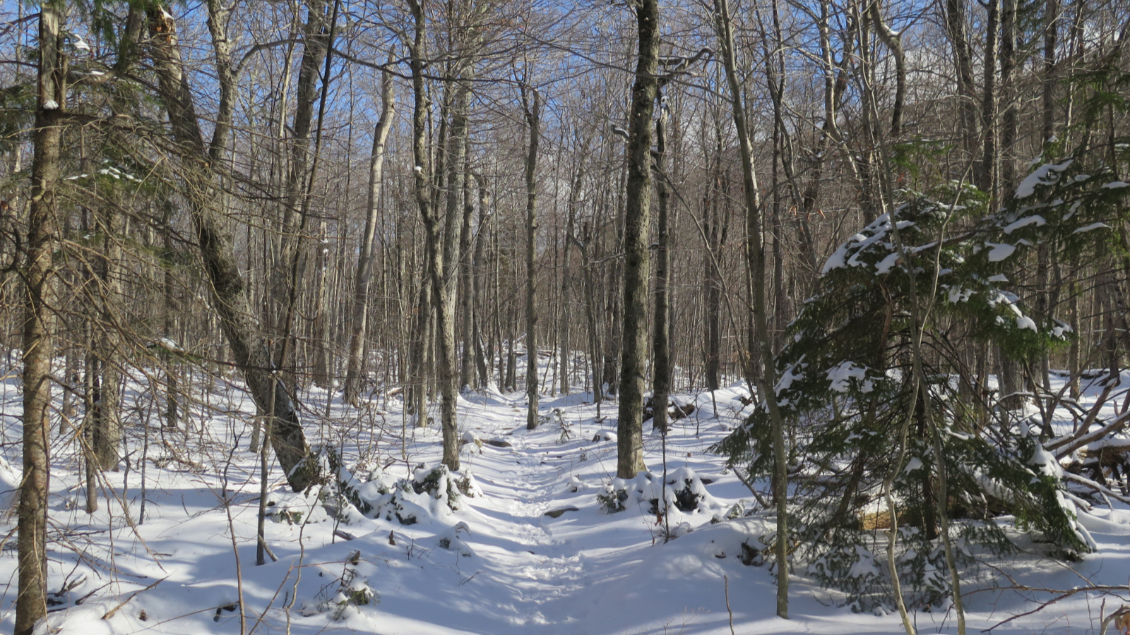 Trip Report: It’s a long time to get to Middle Carter – Protean Wanderer