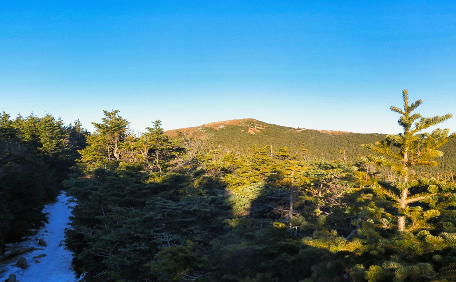 Trip Report: Golden sun on Moosilauke – Protean Wanderer