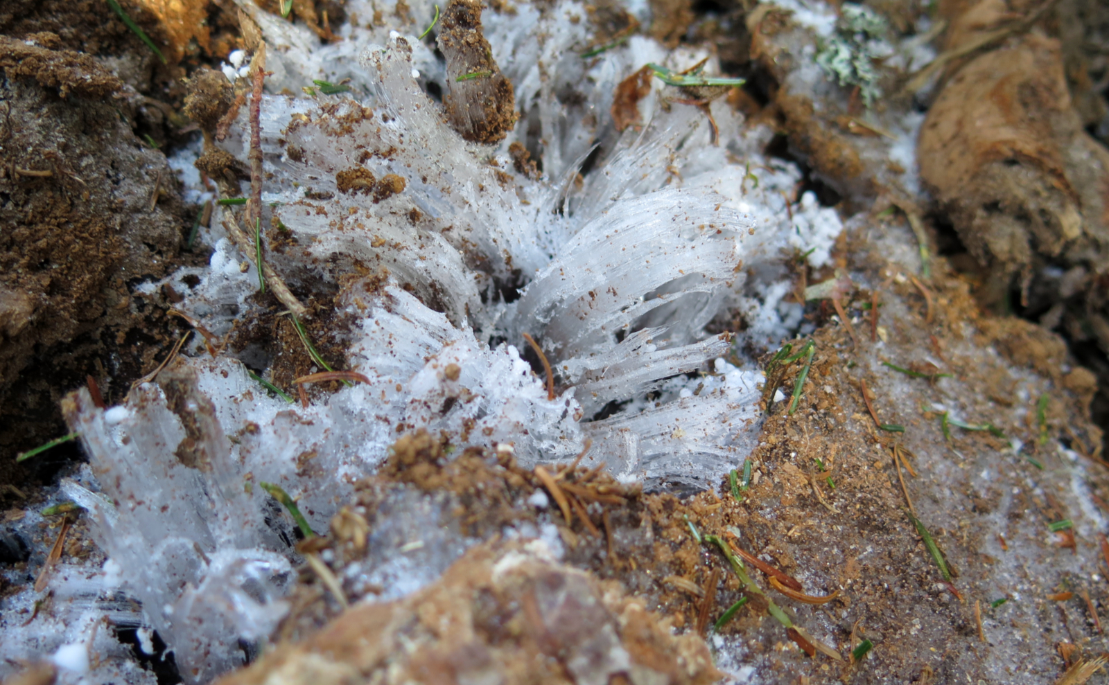 Trip Report: Windy and Wild on Jefferson – Protean Wanderer