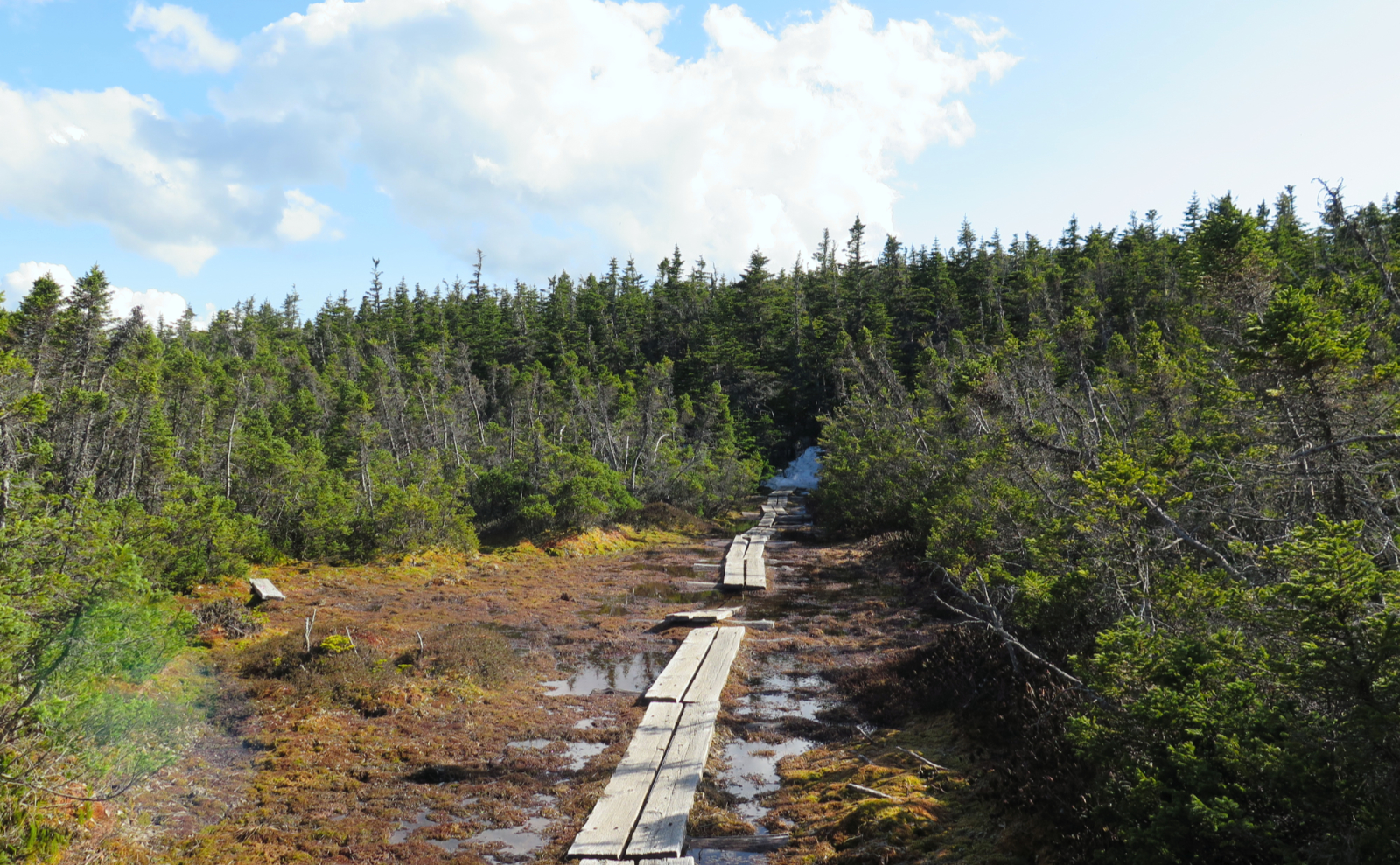 Trip Report: May Mud and Melting Monorail on Carter – Protean Wanderer