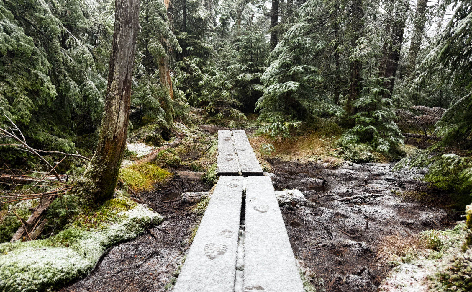 An octet: hiking the Hancocks in heavy weather – Protean Wanderer
